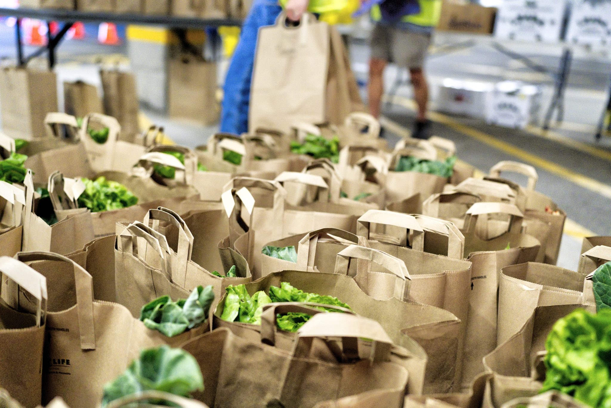 College Students Face High Food Insecurity | Food Lifeline